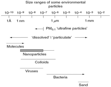The Size Ranges Of Some Environmental Particles Including