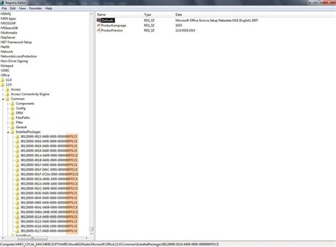Ms Office Registry Subkeys Rgeek