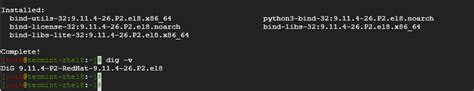 How To Install And Use Dig And Nslookup Commands In Linux