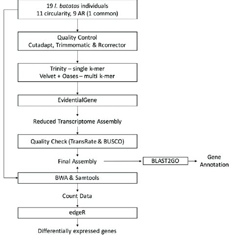 Methodology For Rna Seq Data Processing For Differential Gene Expression Download Scientific