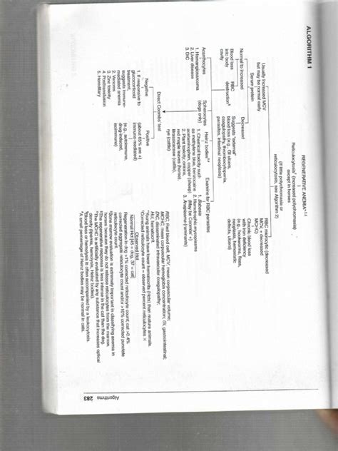 Algoritm Eritrocite Pdf