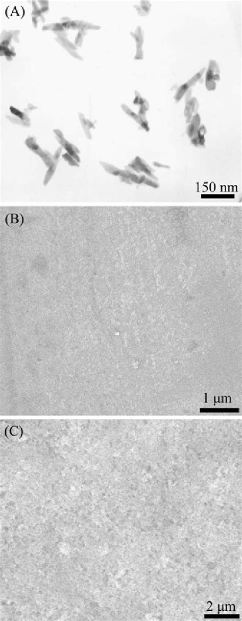 A TEM Image Of HAP SEM Images Of GCE B And HAP GCE C Download Scientific Diagram