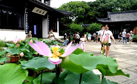 蠡园荷花展