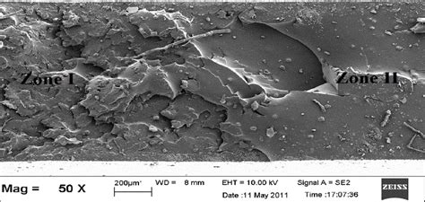 A Sem Micrograph Of Fatigue Fractured Surface Of Unfilled Natural Download Scientific Diagram