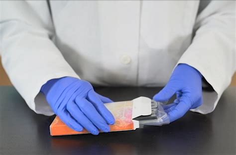 Pbmc Protocol Bruker Cellular Analysis