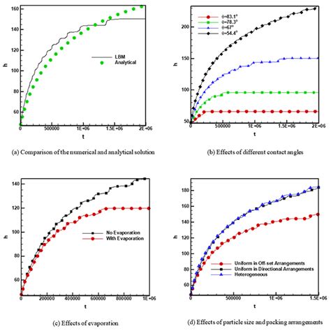 Direct Numerical Simulations Of Moisture Transport In Porous Media By A Multi Component Phase