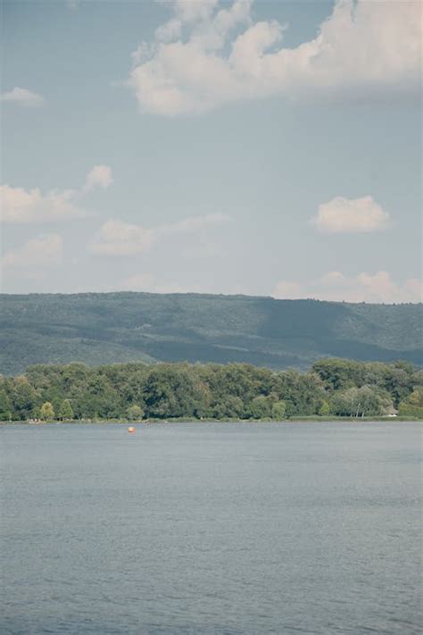 경치 경치가 좋은 고요한 관광 광야 구름 낀 하늘 그림 같은 나무 나뭇잎 낮 녹색 때묻지 않은 맑은 하늘 모험 목가적인 물 민물 반사 삼림