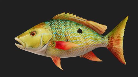 3d Snapper Turbosquid 2119721