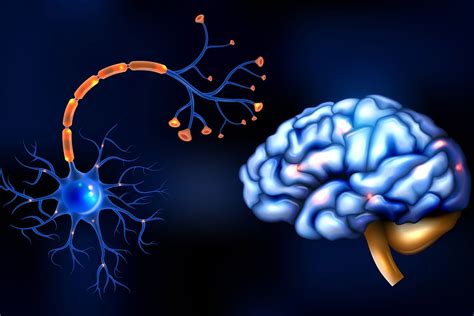 Diabetic Neuropathy Lifeline Clinic Dubai