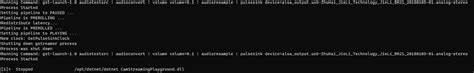 Net C Program Is Stopped After Starting Process A Second Time