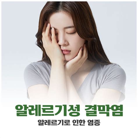 알레르기로 인한 눈 염증 알레르기성 결막염