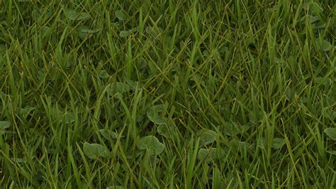 Pro Grass For Blender Cycles And Eevee Released Scripts And Themes Blender Artists Community