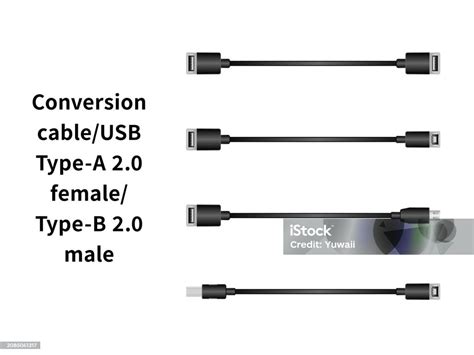 Conversion Cable Usb Typea 20 Female Typeb 20 Male向量圖形及更多usb接口圖片 Istock