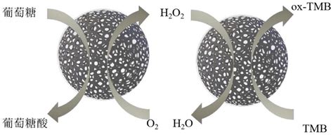 Preparation Method And Application Of Nano Enzyme For Colorimetric
