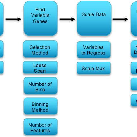 seurat clustering pipeline with parameters that must be set at each