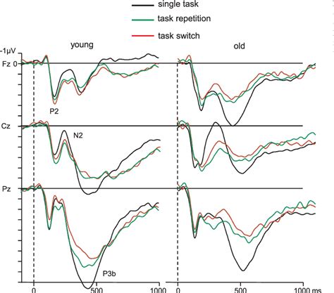 Figure 3 From Neuroscience And Biobehavioral Reviews Understanding Sources Of Adult Age Di ﬀ