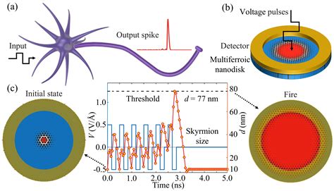 南京大学物理学院