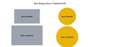 Box Sizing In Tailwind Css Dev Community
