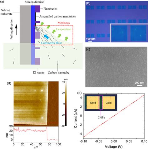 A Schematic Illustration Of The Dip Coating Based Directed Assembly