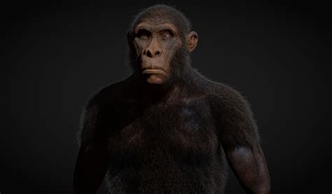 Artstation Australopithecus