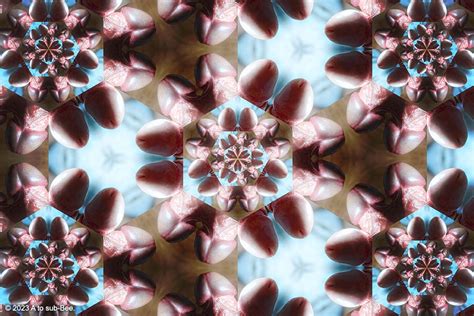 Round And Round In A Circle A To Sub Bee