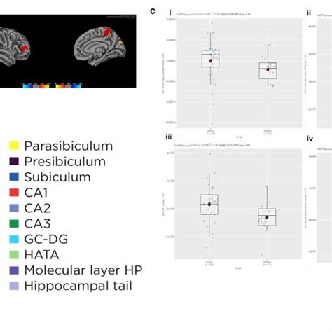 Structural Magnetic Resonance Imaging Analysis A Increased Cortical Download Scientific