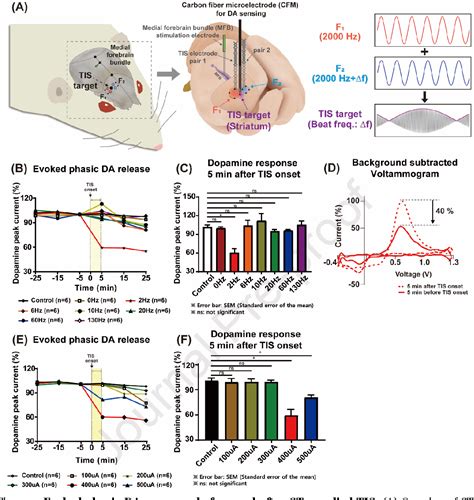Figure 2 From Effect Of Temporal Interference Electrical Stimulation On