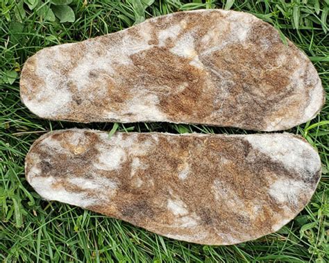 Wool Shoe Inserts The Living Farm