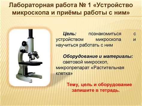Устройство микроскопа и приёмы работы с ним презентация онлайн