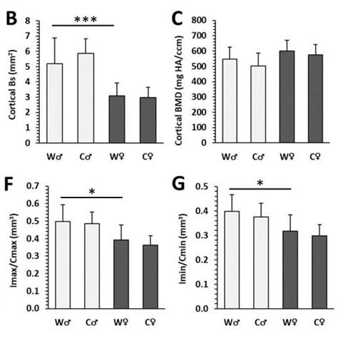 Micro Ct Cortical Parameters In Male ♂ And Female ♀ Mice From Water
