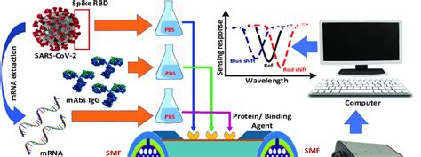 Schematic Setup For Sample Preparation And The Protocol For Sars Cov 2 Download Scientific