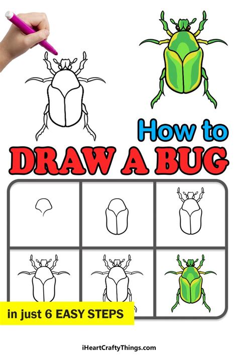 Bug Drawing How To Draw A Bug Step By Step