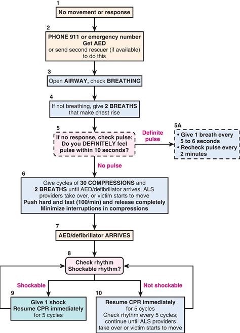 Cardiopulmonary Resuscitation And Airway Management Clinical Tree