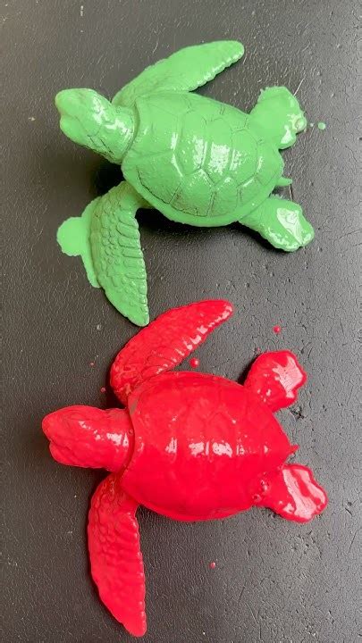 Turtle 🐢🐢 Youtube