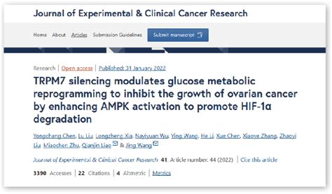 这篇糖代谢重编程文章的思路有点巧妙！（附研究思路图