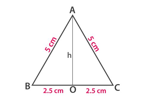Properties Of Triangle Types And Formulas With Examples