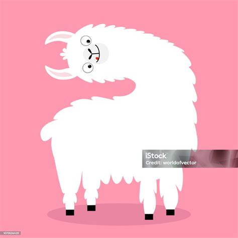 라마 알파 카 머리 얼굴을 터 닝 혀 귀여운 만화 재미 귀여운 캐릭터입니다 솜 털 머리 모피입니다 유치 한 아기 컬렉션입니다 티셔츠 인사말 카드 포스터 템플릿 인쇄입니다