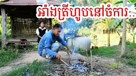 ស្រីម៉ៅស្ទូចត្រីបានក្នុងជាល អរណាស់😂ស្រាប់តែហូបទៅ Youtube