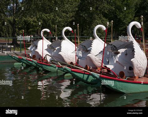 People Have Been Riding The Swan Boats In Boston Public Garden Since