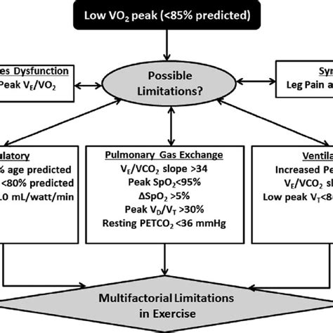 algorithm for possible exercise limitations and interpretation of
