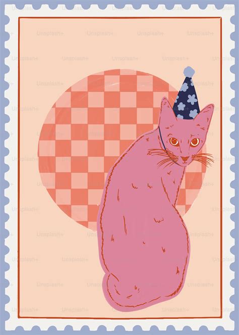 파티 모자를 쓴 분홍색 고양이 사진 Unsplash의 고양이 이미지