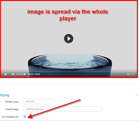 Problem With Filltocontainer True · Issue 245 · Fluid Playerfluid