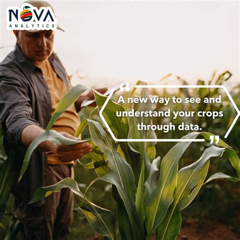 Nova Analytics On Linkedin Datainsight Novaanalytics