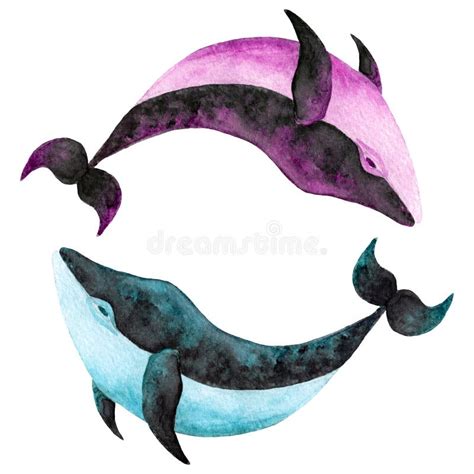 Couple Of Watercolor Aquarelle Hand Drawn Pink And Blue Whales Above