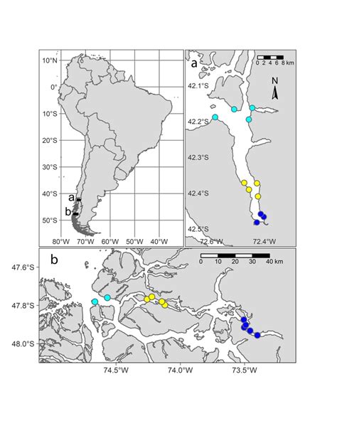 Stochastic Processes Dominate Community Assembly At Large Spatial Scales In Patagonian Fjord
