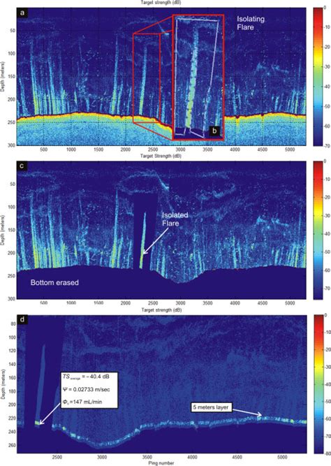 Acoustic Flare Detection And Flow Rate Estimation Processing Using