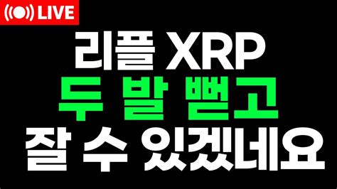 리플 아무나 되라 Youtube