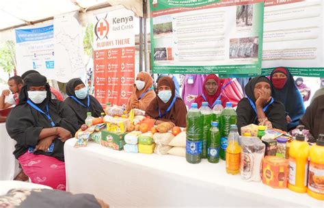 Resilience Programs Hacof