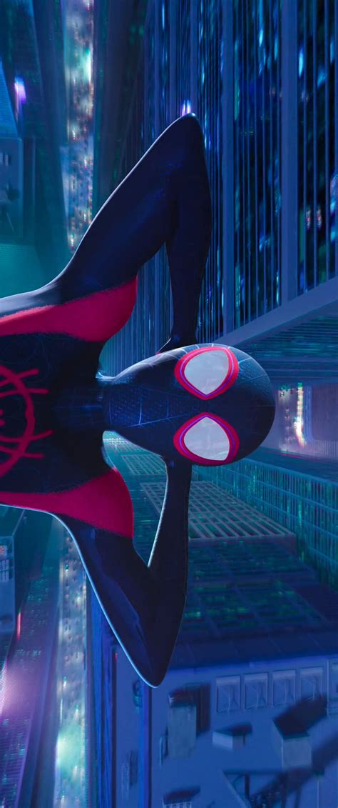 Spider Man Into The Spiderverse Wallpaper