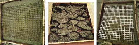 Slabs Reinforcement With Different Geogrid Types Download Scientific Diagram